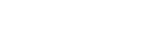 NetIQ by OpenText (prev. Micro Focus)