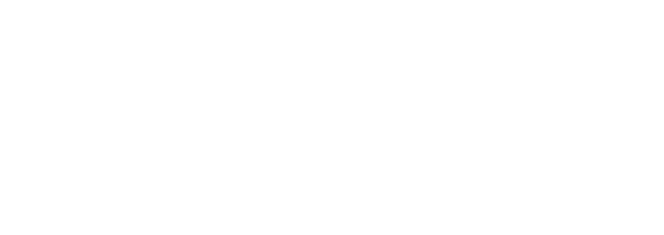 NetIQ by OpenText (prev. Micro Focus)